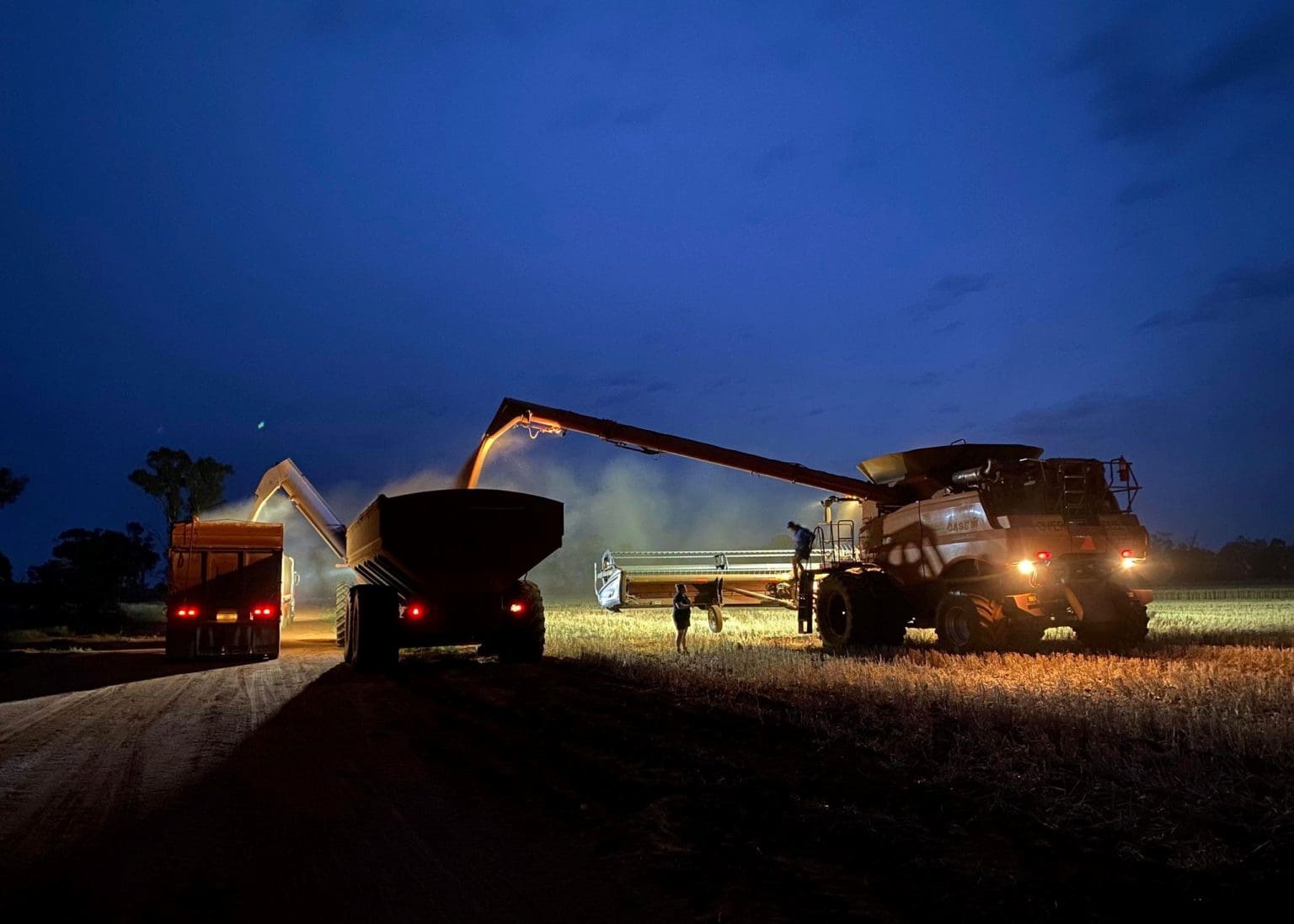 GrainCorp intake hits 10.4Mt after big week - Grain Central