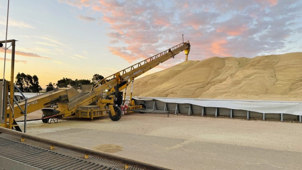 Viterra harvest intake nears 5Mt - Grain Central