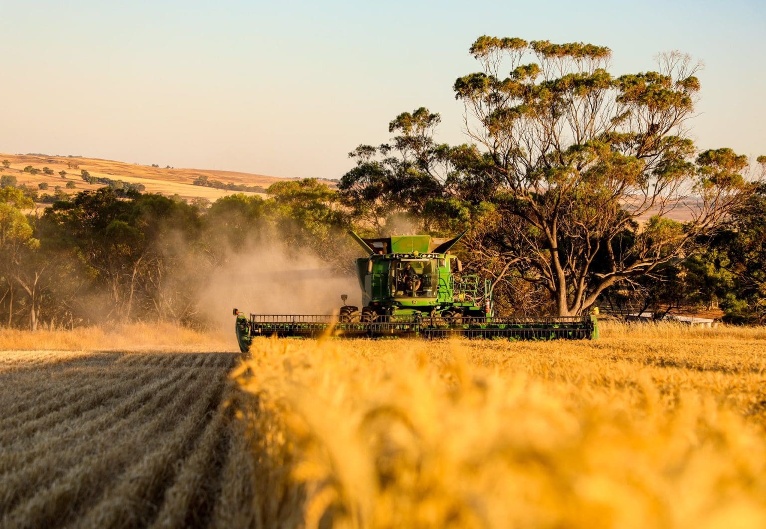 Bulls quelled amid higher global wheat use, trade: USDA - Grain Central