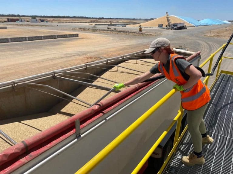 GrainCorp, Viterra receivals near 18.4Mt - Grain Central