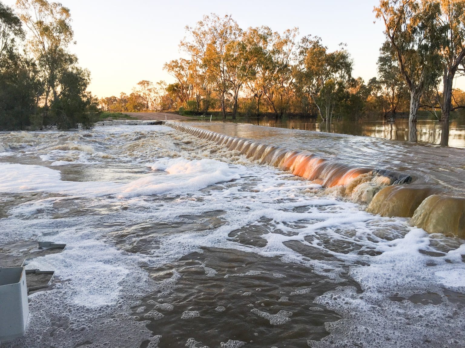New partnership buys Worral Creek in landmark deal - Grain Central