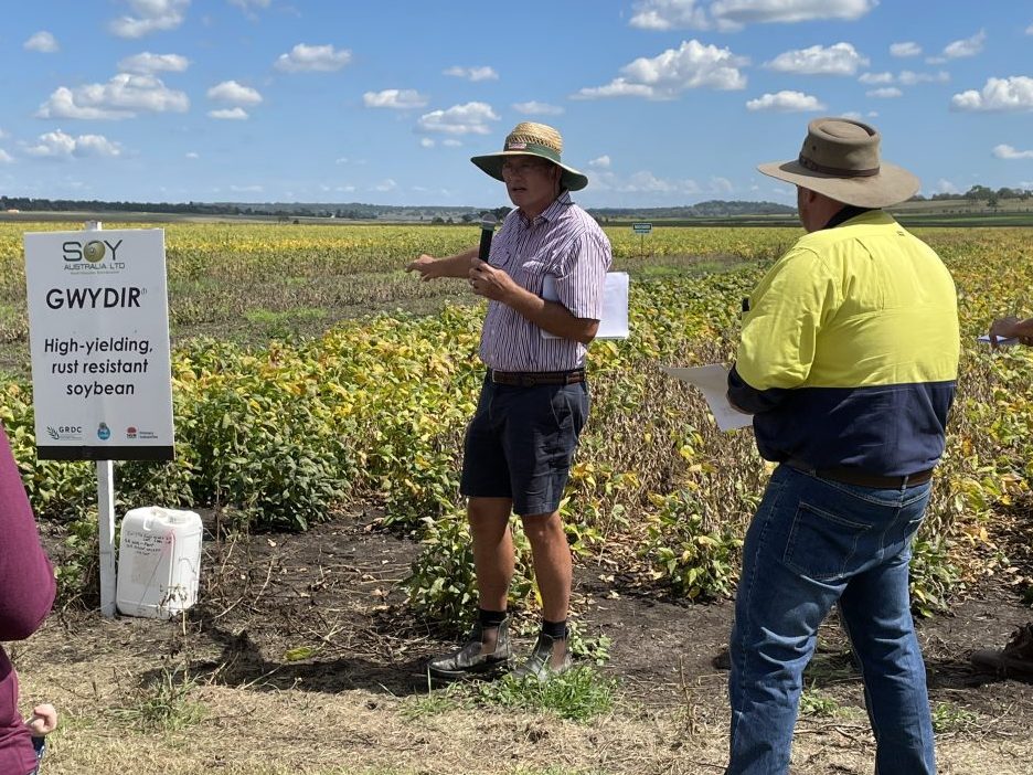 Soybeans on display at field day + PICS - Grain Central