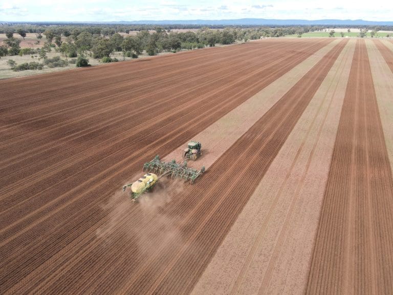 Canola advances as nationwide plant ramps up - Grain Central