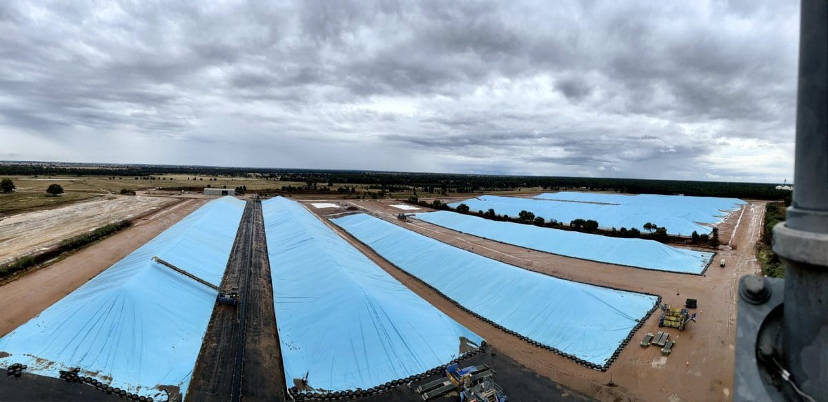 Global demand lifts GrainCorp's profit outlook - Grain Central