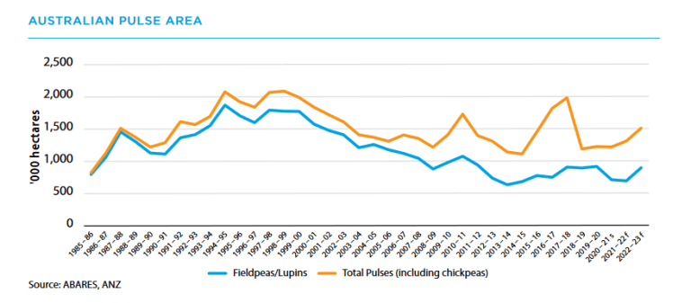 Pulses set to grow in reduced crop area: ANZ - Grain Central