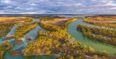 One Basin CRC launched for Murray-Darling Basin - Grain Central