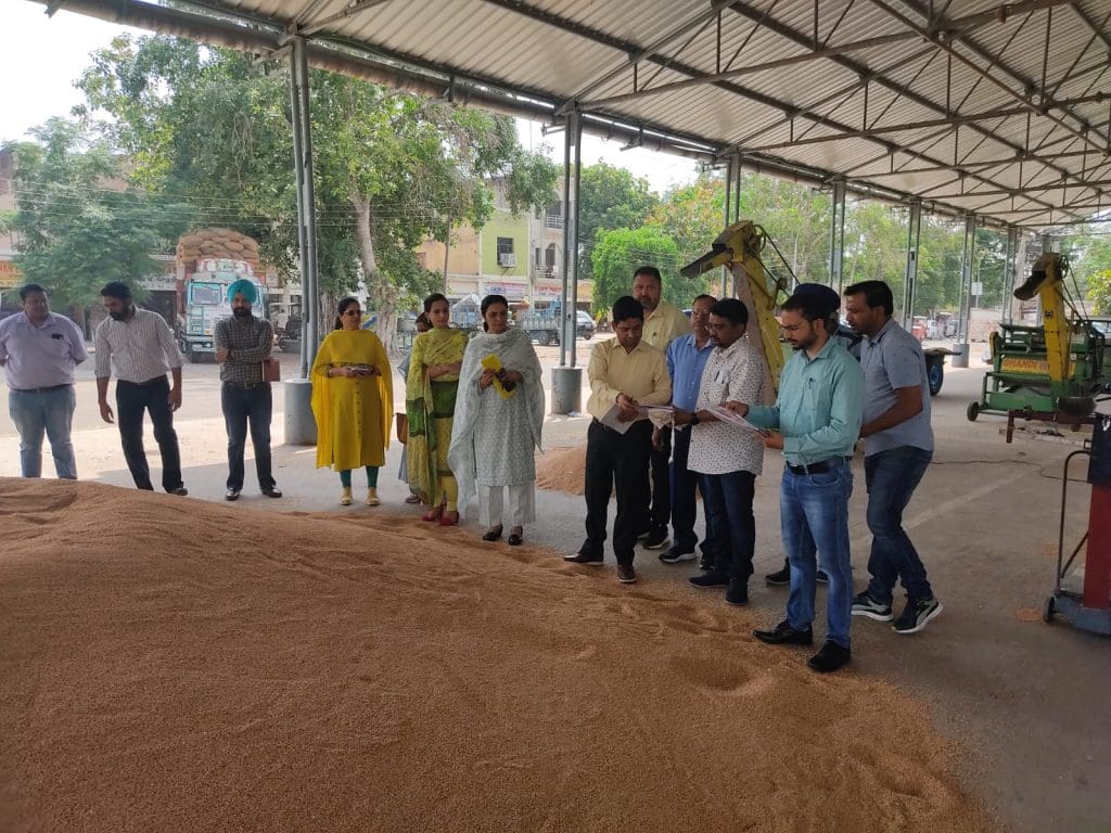Indian Government limits wheat exports - Grain Central