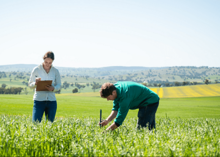 Loam Bio, GrainCorp launch soil-carbon collaboration - Grain Central