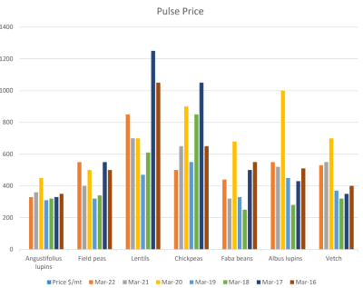 Market-access issues hinder growth in pulse sector - Grain Central