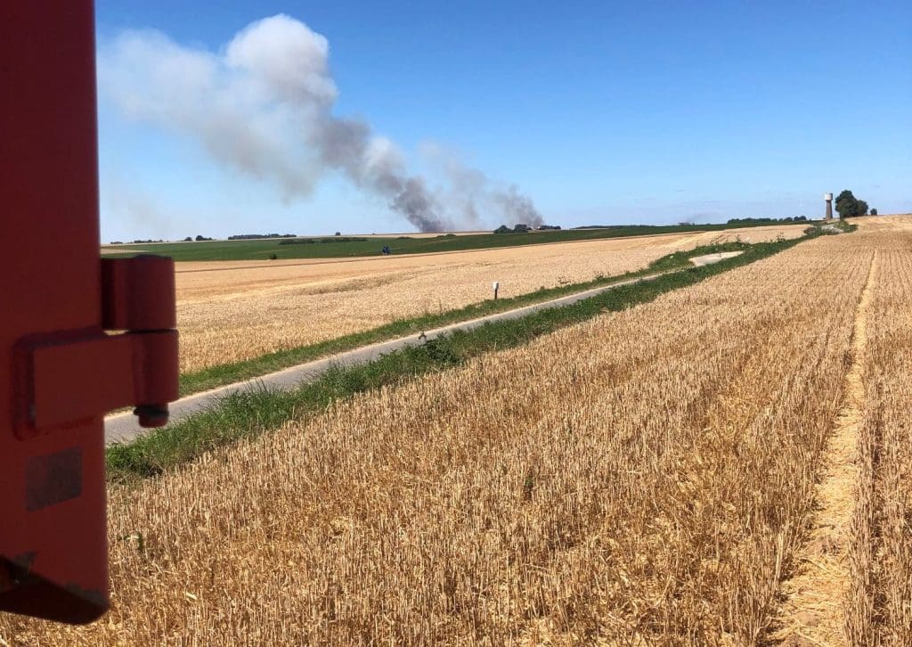 French crops fry in hot, dry season - Grain Central