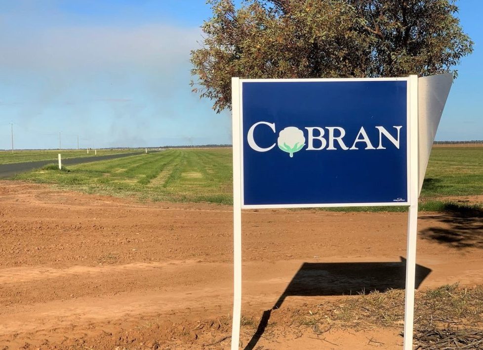 Westchester relists reduced Riverina offering - Grain Central