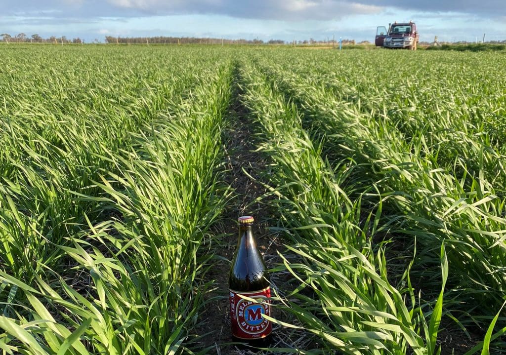 Feedgrain Focus: Trade thin in easing market - Grain Central