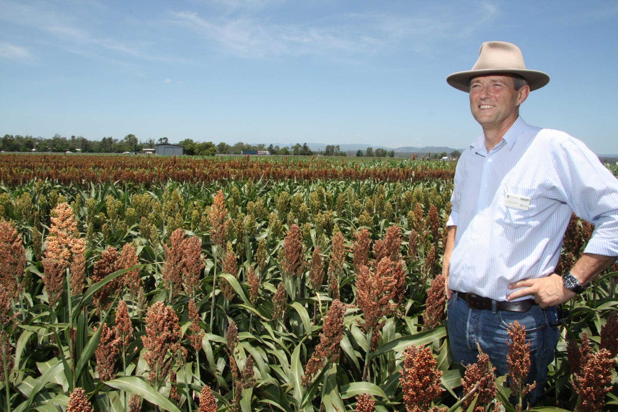 Toowoomba gears up for Australian Agronomy Conference - Grain Central