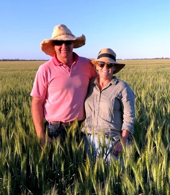 Measurement of insets gets Balls rolling on carbon - Grain Central