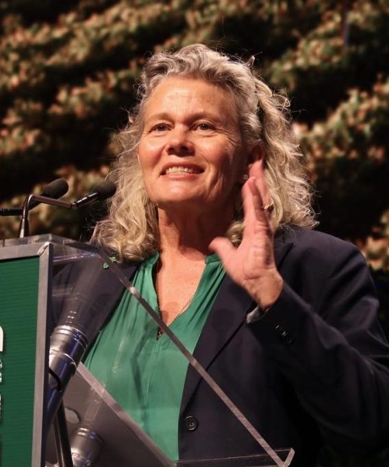 Budget delivers little infrastructure, irrigation certainty - Grain Central