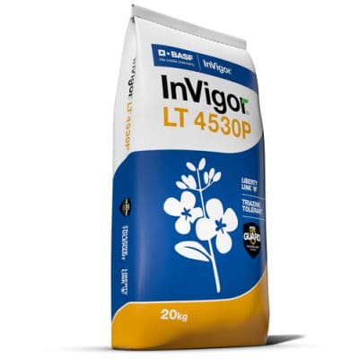 InVigor brings pod strength to cut canola losses - Grain Central