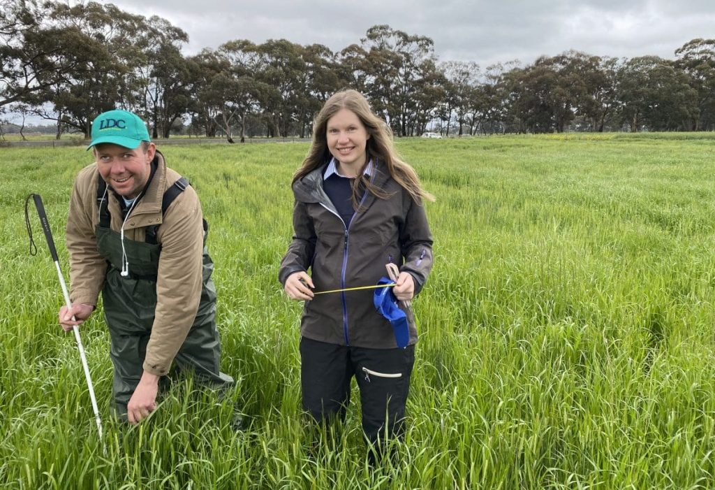 GIAV crop tour set to hit the road next month - Grain Central