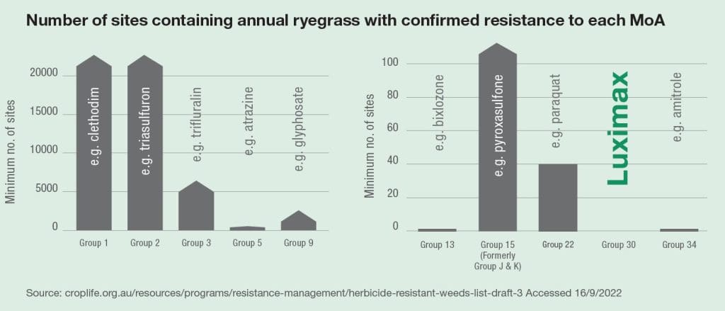 Luximax 30/30 brings options to fight against ryegrass - Grain Central