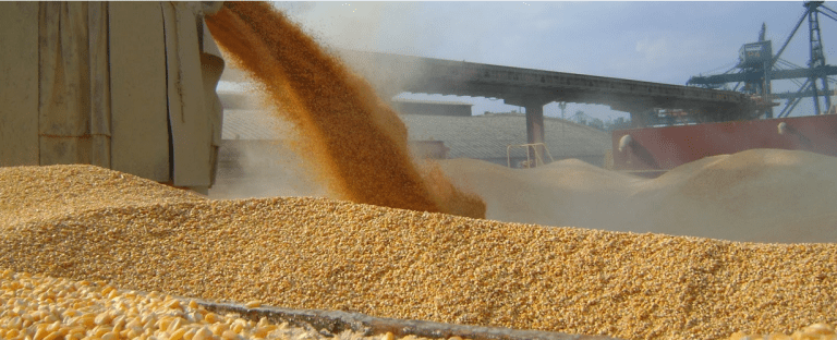 China’s grain import volume declines in 2022 - Grain Central