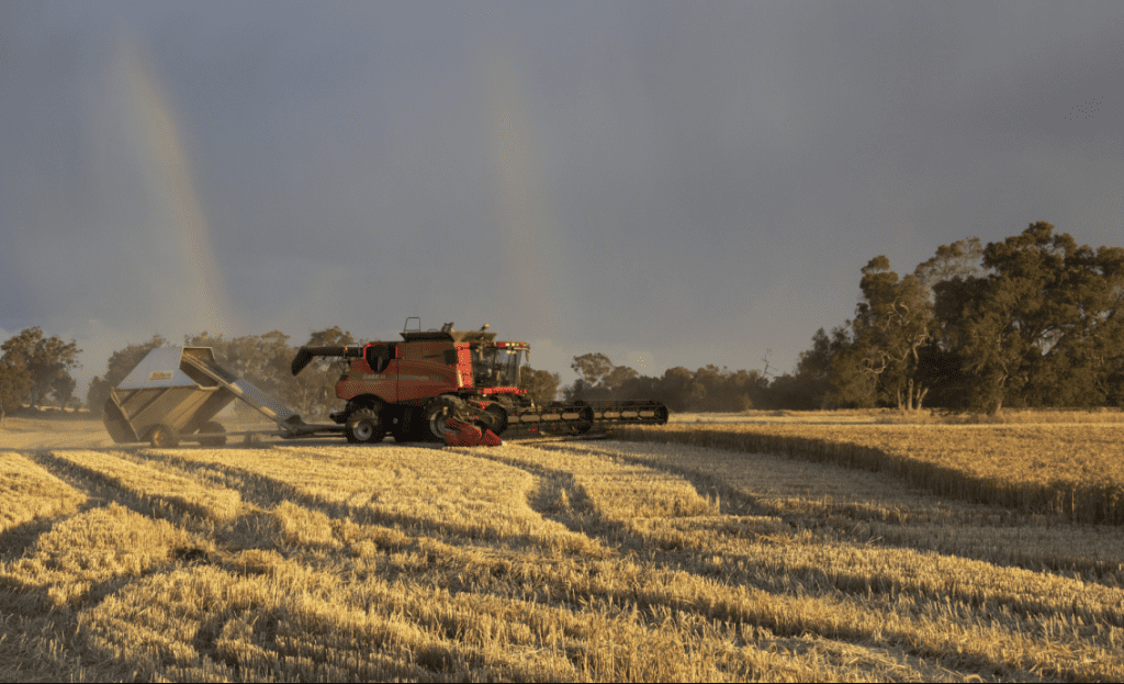 New help for WA grain growers to cut emissions - Grain Central