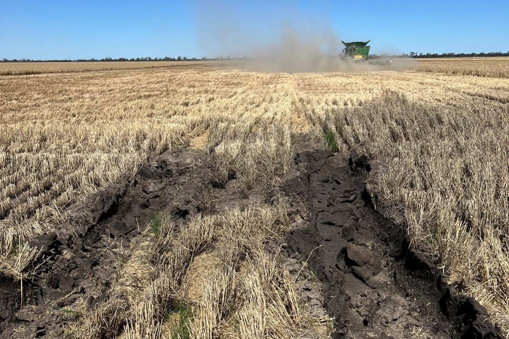 NSW growers prepare for late, wet harvest - Grain Central