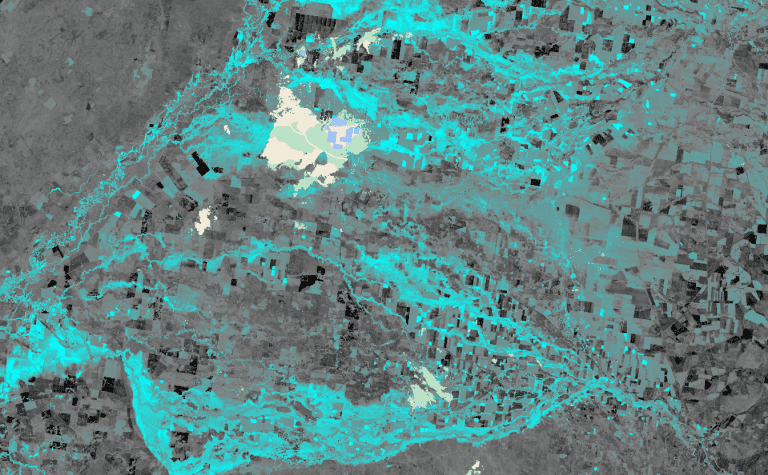 DAS puts satellite smarts into national crop assessments - Grain Central