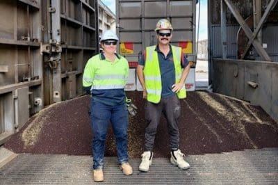Viterra receivals hit 1.2Mt as weather warms - Grain Central