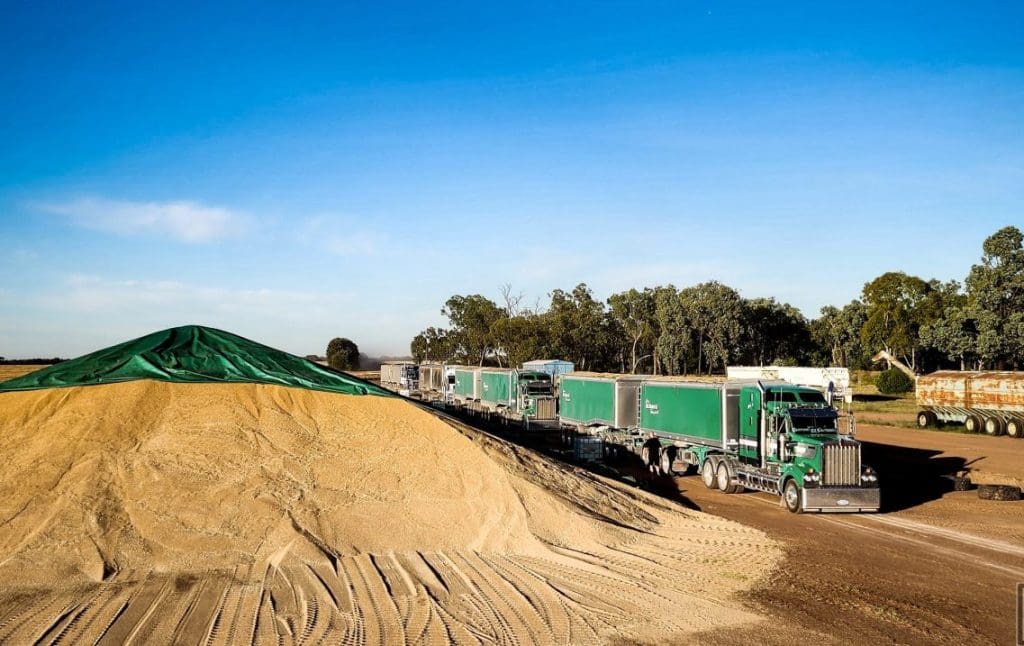 Feedgrain Focus: North firms, south sags - Grain Central