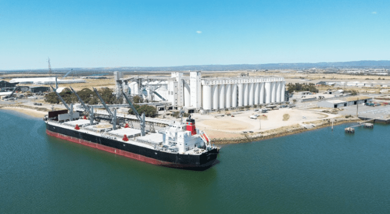 Viterra receivals surge 112pc to 2.56Mt in a week - Grain Central