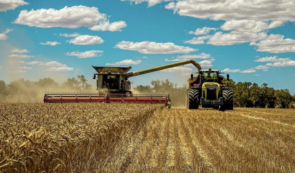 Australia's Oct wheat exports jump 14pc to 2Mt - Grain Central