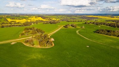 WA’s Cherylton Farms sells for more than $100 million - Sheep Central
