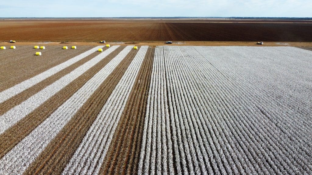 Gundaline sells to Chinese interest for $120M - Grain Central