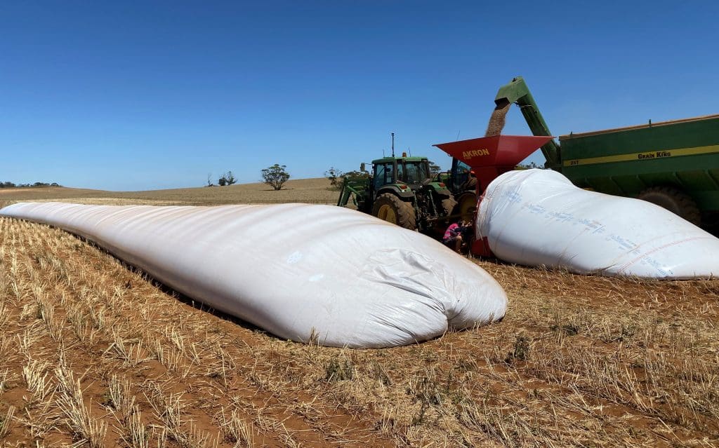 SA study explores future options for grain silo bags - Grain Central