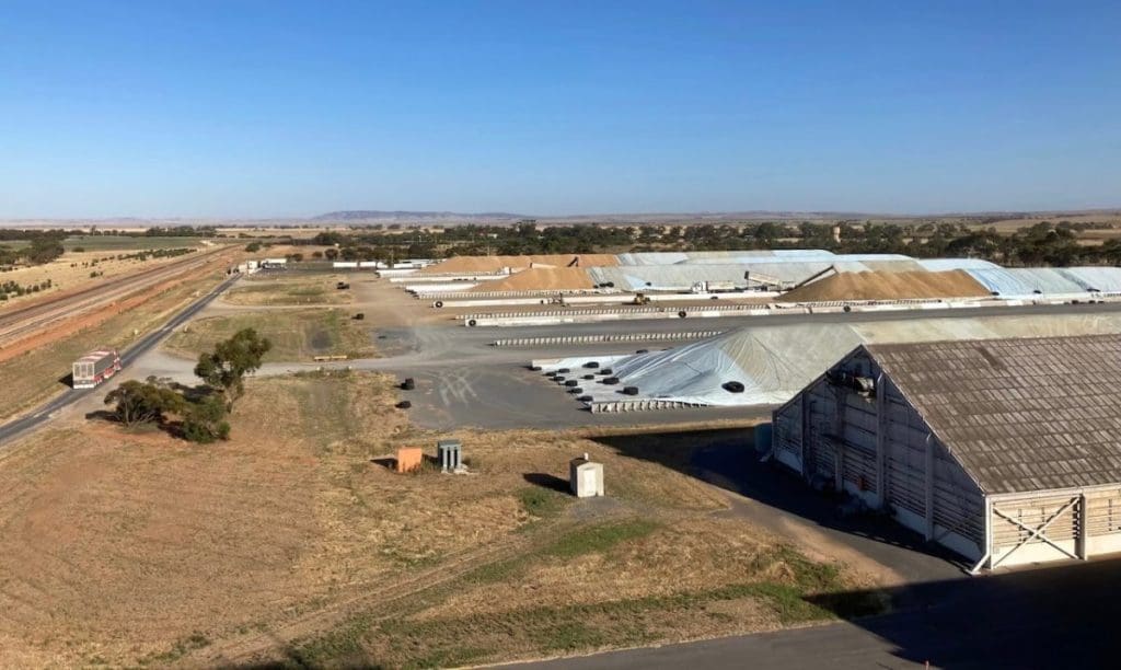 Viterra receivals hit 6.93Mt on New Year's Day - Grain Central