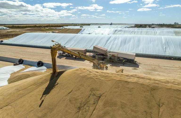 SA harvest intake second-largest on record for Viterra - Grain Central