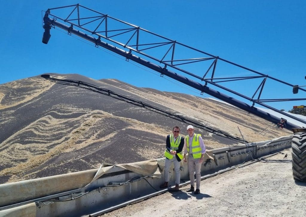 Australia sets new canola-shipment record - Grain Central