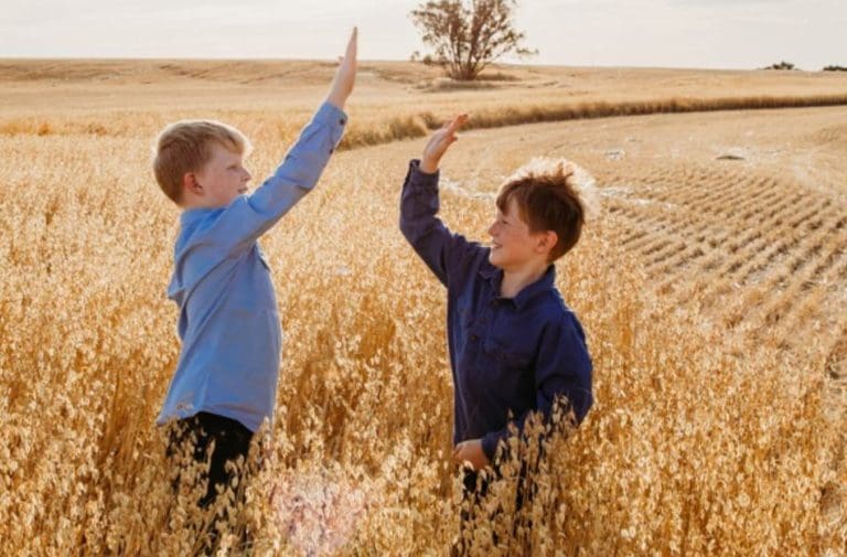 Records all round as CBH calls end to harvest - Grain Central