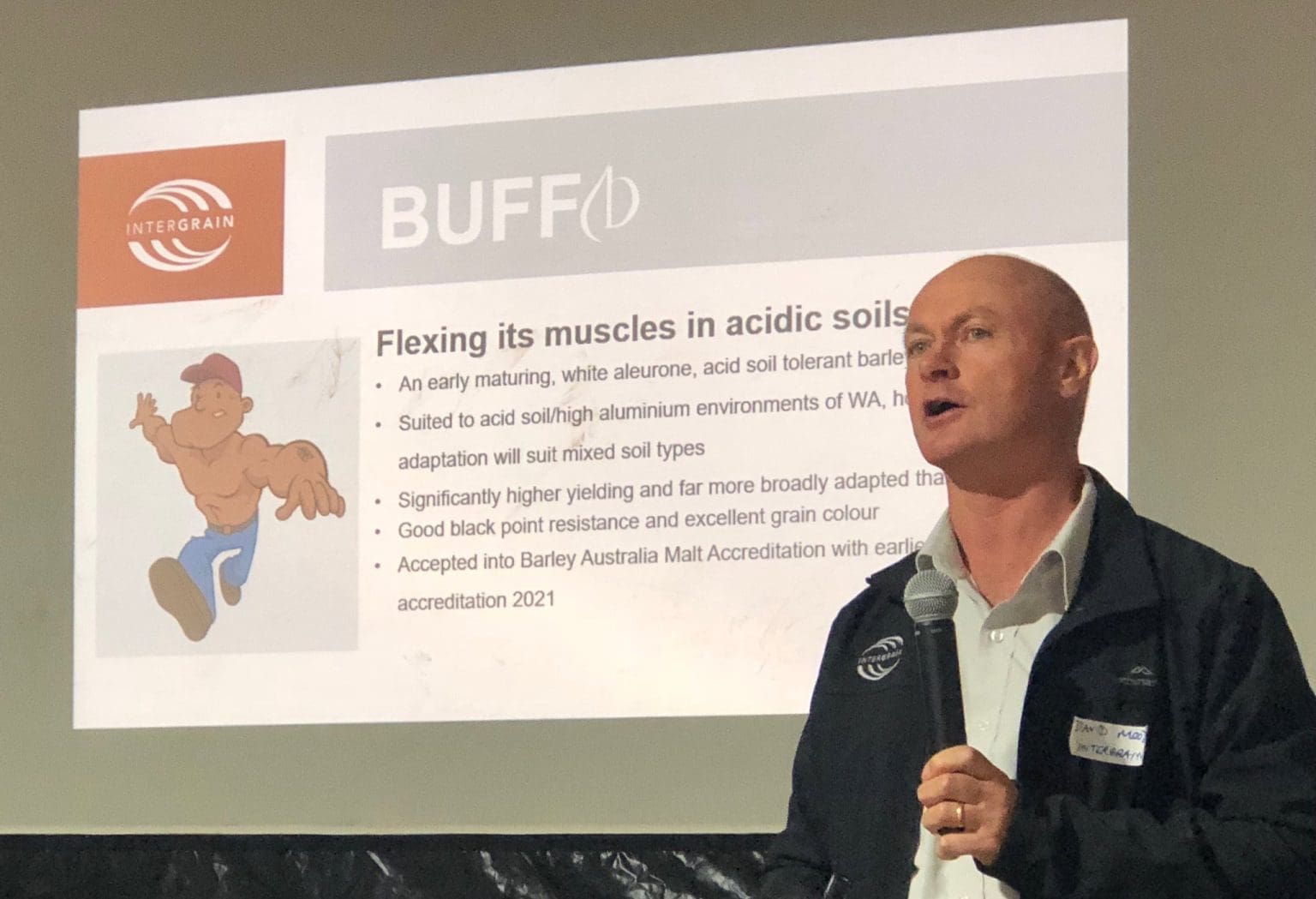 Buff gets malting green light from Grains Australia - Grain Central