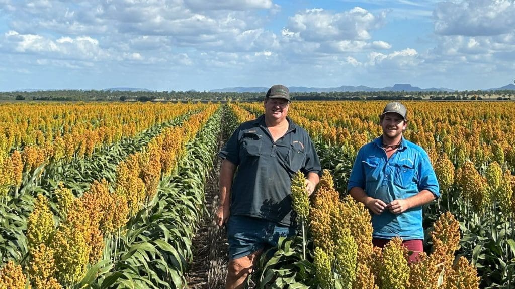 Australia ships 777,823t barley, 255,066t March sorghum - Grain Central