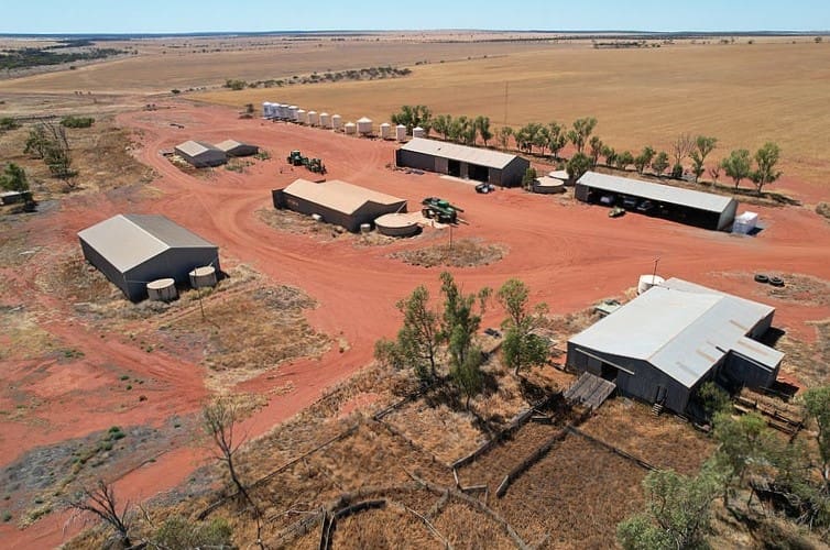 Gundaline, Ballandry head defining sales of 2023 - Grain Central