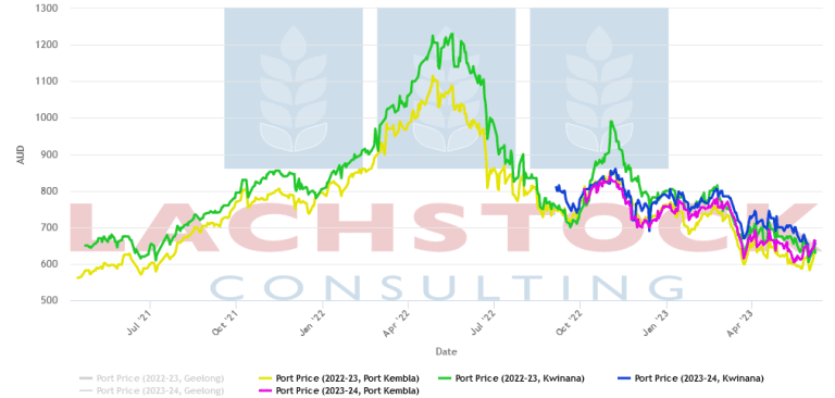 Canola prices under pressure: Lachstock - Grain Central