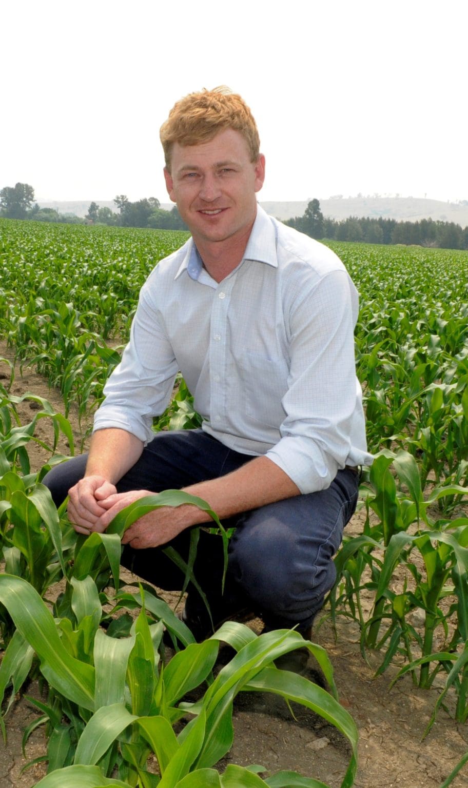 Clear Grain Exchange buys igrain - Grain Central