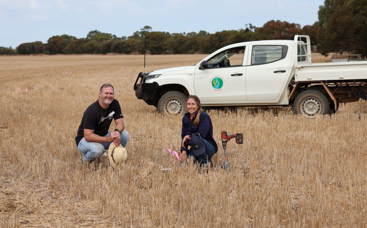 Joint project seeks to identify weevil found in WA - Grain Central