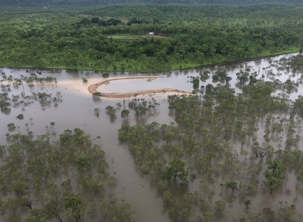 Qld's Glenmore sells at auction, Schembri buys NT's Annaburroo - Grain ...