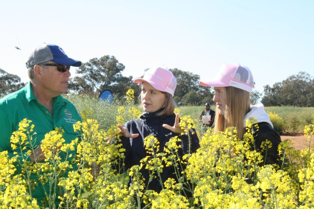 Canola field day kicks off International Rapeseed Congress + PICS ...