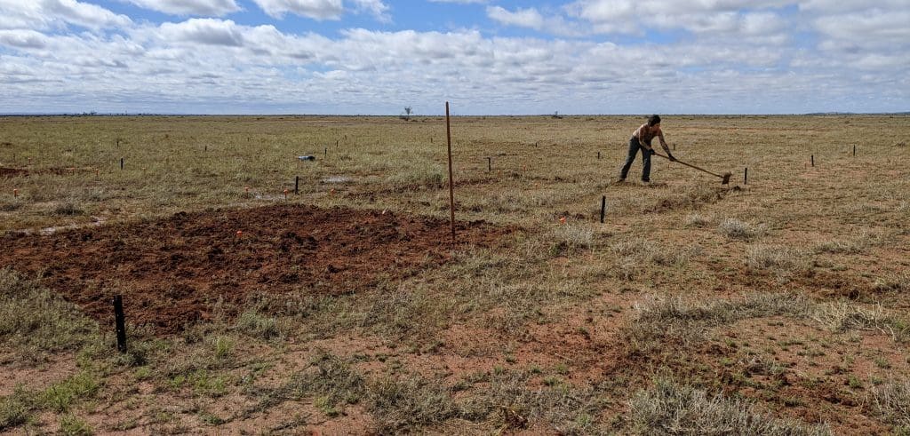Sorry Australia, you’re just not that special after all: Study - Grain ...