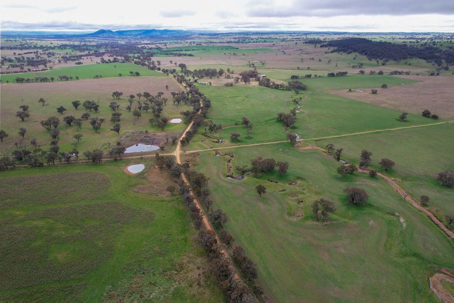 Willawong, Mylora head blue-ribbon listings - Grain Central
