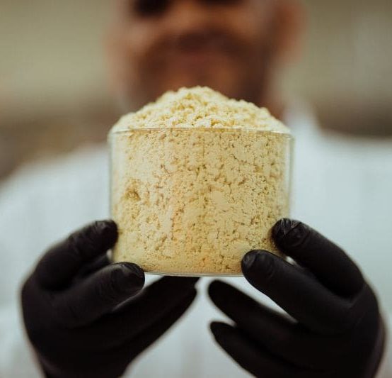 WOA buys Germany's Prolupin to make it largest in field - Grain Central