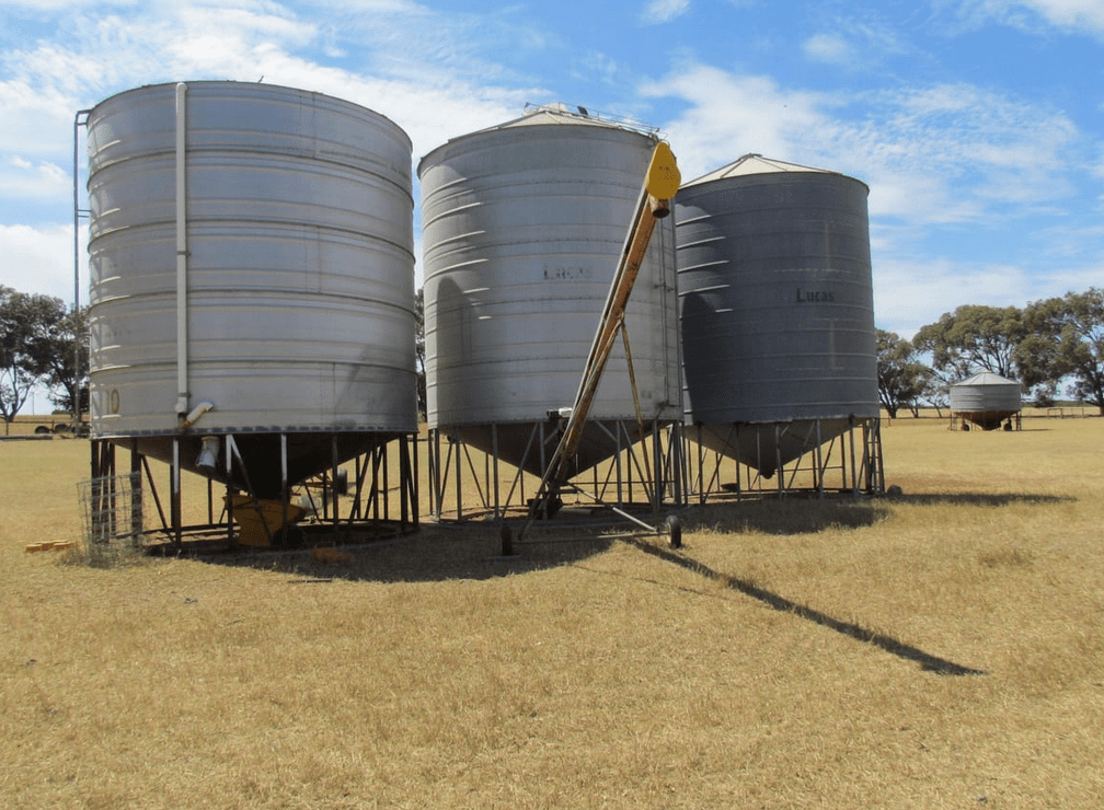 Renowned prime lamb property Balmullin has $15m price tag - Sheep Central