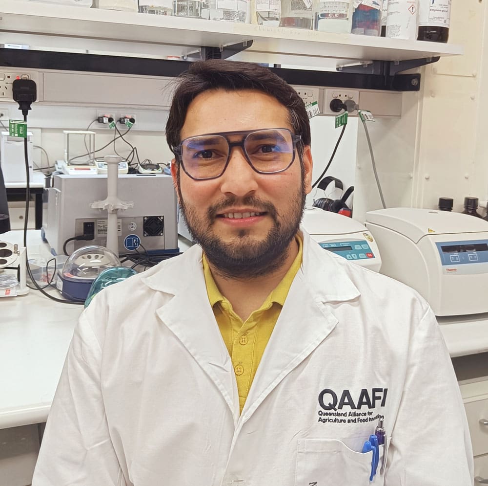 UQ team investigates crop potential for outback millet - Grain Central